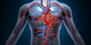 Kardiyak MR - Tıbbi Görüntüleme Merkezi